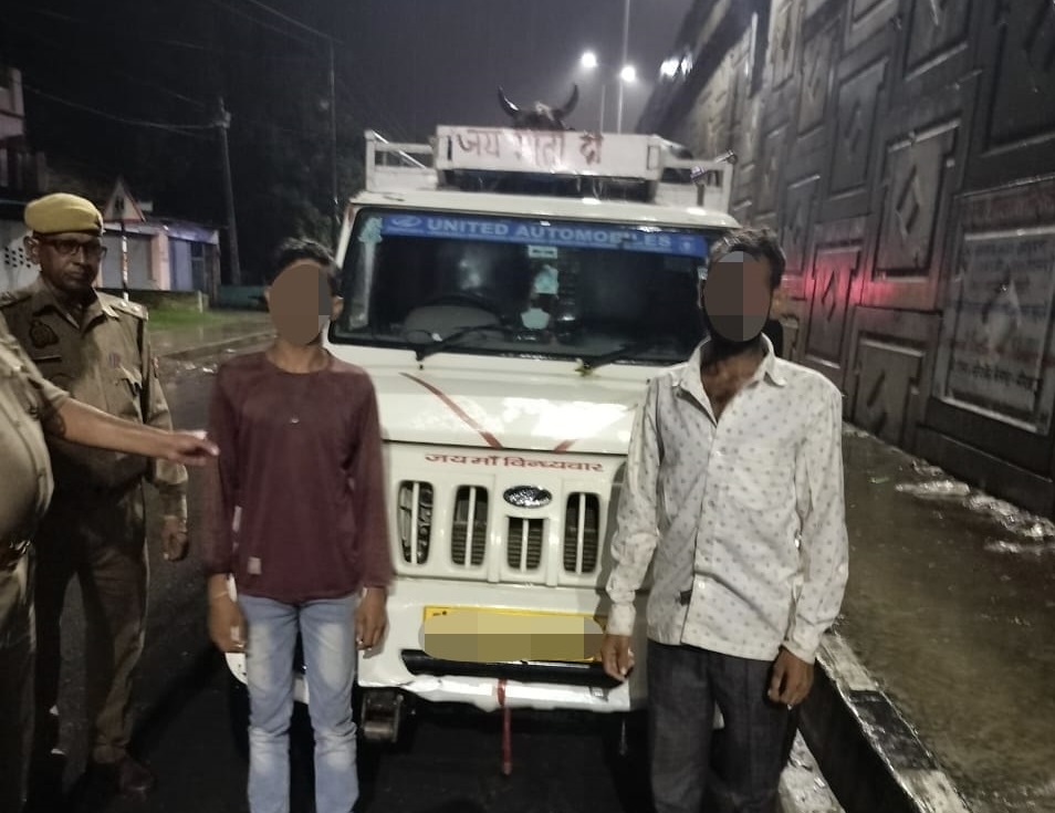 फ्लाईओवर के नीचे धरे गए गो तस्कर, पिकअप पर मिले मवेशी - The Live Ink